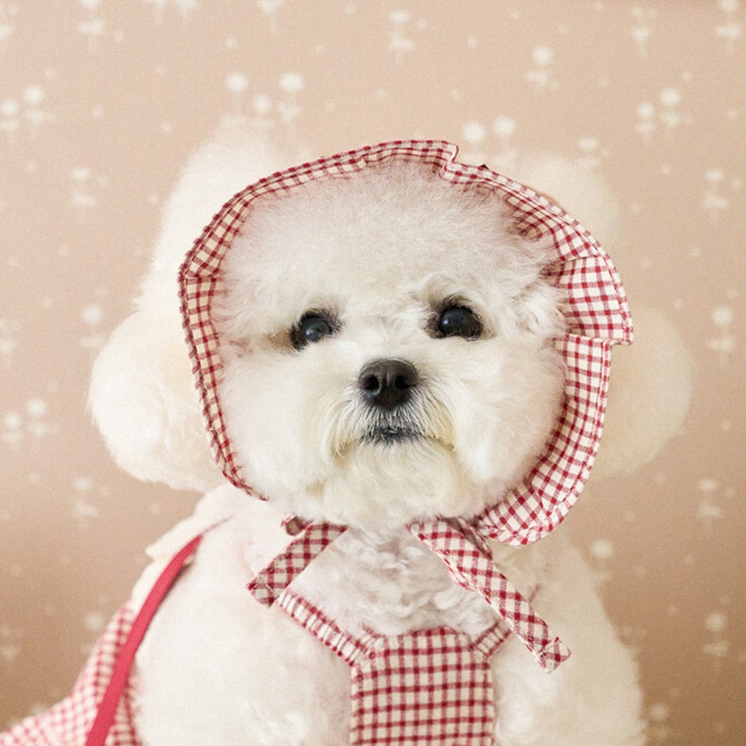 Baily Checkered Bonnet Hat Dog Hat Puppy Hat Cute Dog Hat Dog Bonnet ...