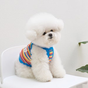 Attention Crop Top Dog Shirt Top Dog Clothes Dog Clothing Puppy Clothes ...