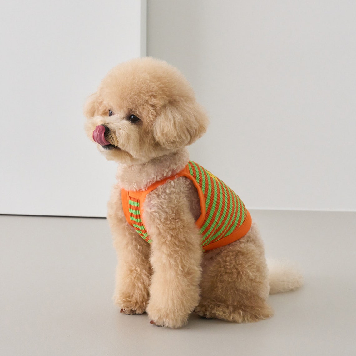 Tiny Bear Crop Top Dog Shirt Top Dog Clothes Dog - Etsy