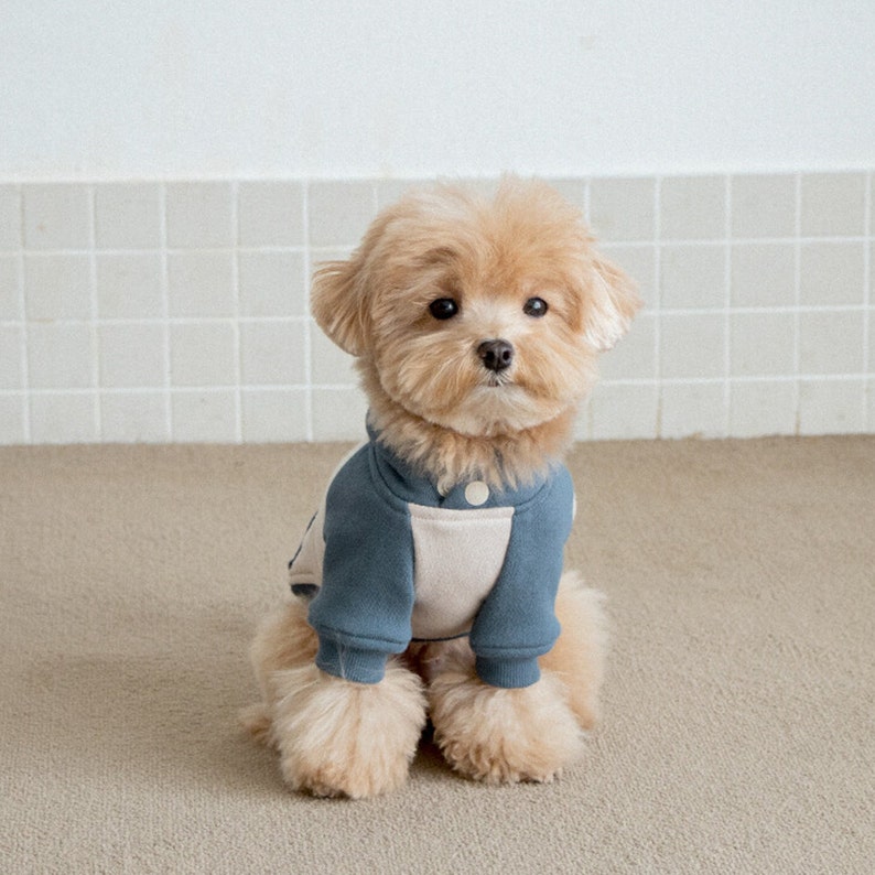 Vintage Soft Hoodie Hoodie Clothes for Small Dog Large Dog - Etsy