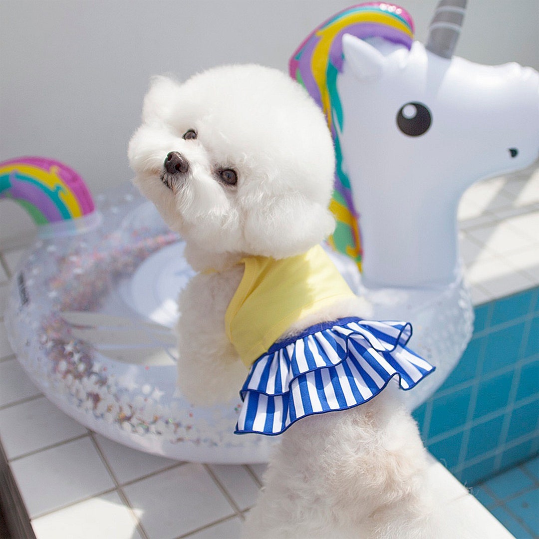 Eva Bikini Swimwear Dog Swimwear Dog Swimsuit Dog Bikini Puppy Swimwear ...