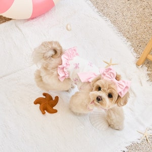 Summer Pink Swimsuit Dress Dog Clothes Dog Clothing Dog, Puppy Dress ...