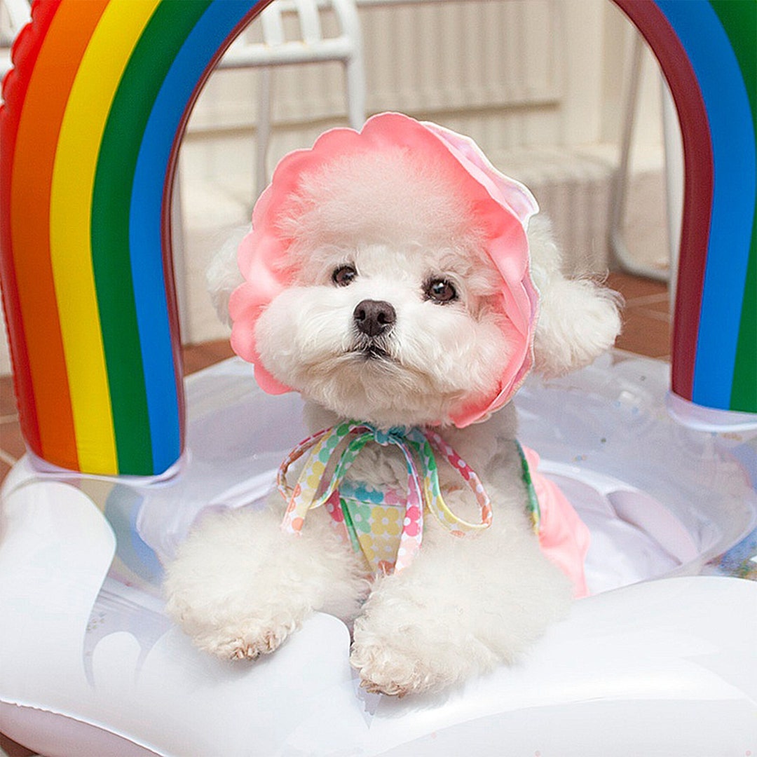 Jenna Swim Hat Dog Swim Hat Dog Swimming Hat Dog Swim Cap Puppy Swim ...