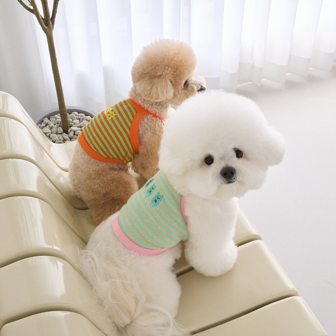 Tiny Bear Crop Top Dog Shirt Top Dog Clothes Dog Clothing Puppy Clothes ...