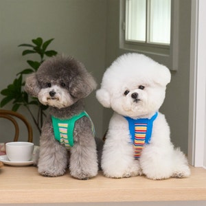 Attention Crop Top Dog Shirt Top Dog Clothes Dog Clothing Puppy Clothes ...