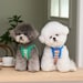 Attention Crop Top Dog Shirt Top Dog Clothes Dog Clothing Puppy Clothes ...