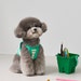 Attention Crop Top Dog Shirt Top Dog Clothes Dog Clothing Puppy Clothes ...