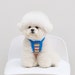 Attention Crop Top Dog Shirt Top Dog Clothes Dog Clothing Puppy Clothes ...