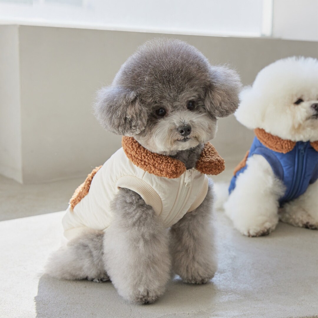 Dog Puffer Jacket Igloo Harness Puffer Jacket Dog Clothes - Etsy