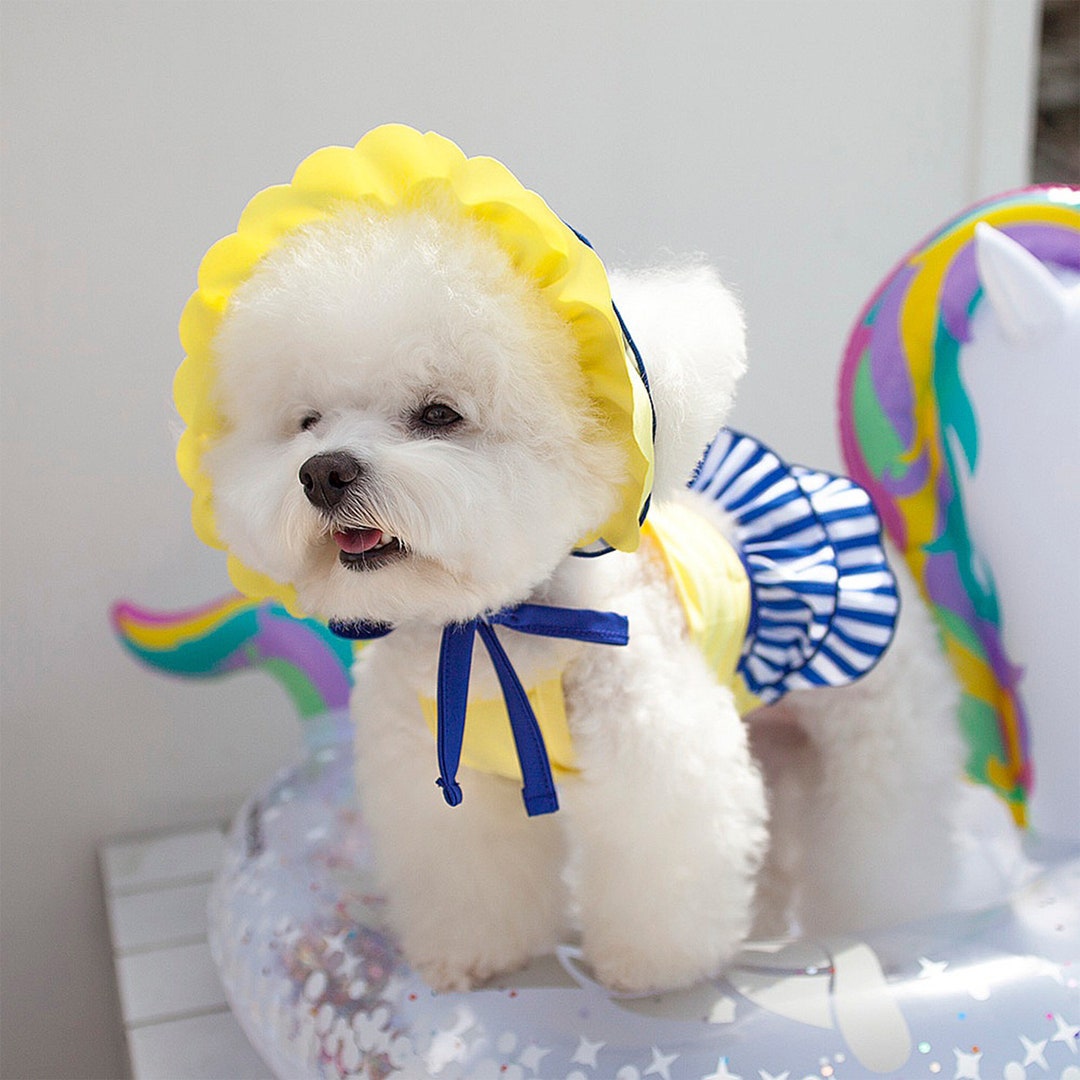 Eva Swim Hat Dog Swim Hat Dog Swimming Hat Dog Swim Cap Puppy Swim Hat ...