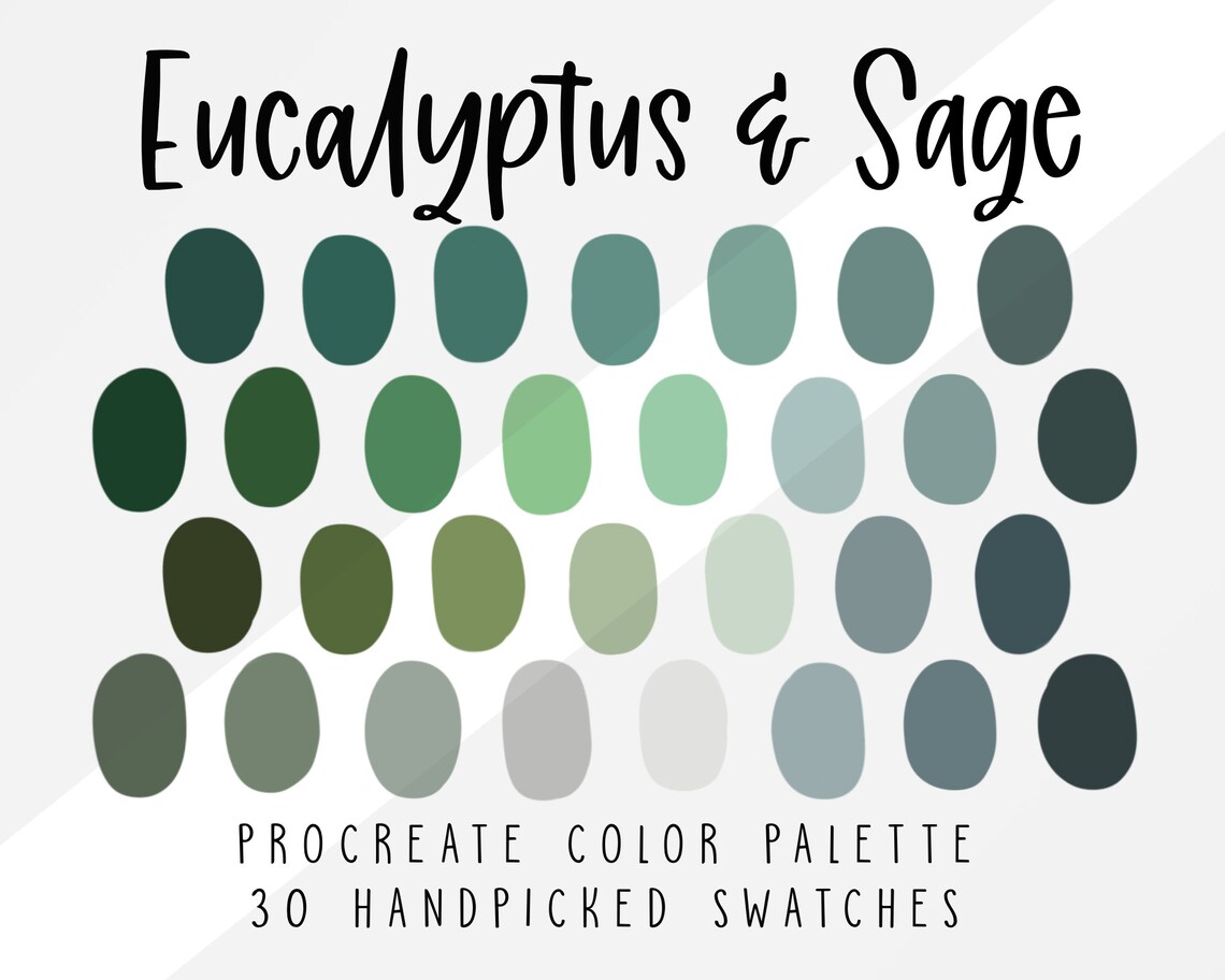 Eucalyptus Sage Procreate Color Palette Cool Color Swatches | Etsy Eucalyptus Sage Procreate Color Palette Cool Color Swatches | Etsy