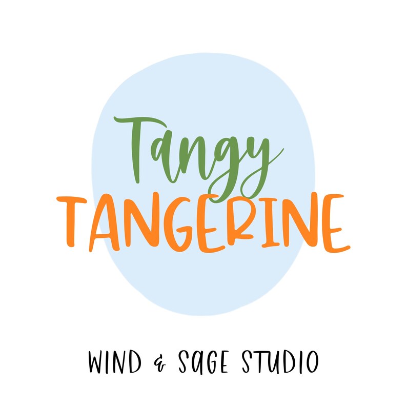 Tangy Tangerine Procreate Color Palette Color Swatches iPad | Etsy