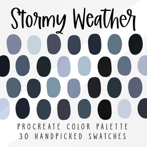 Stormy Weather Gray Procreate Color Palette, Color Swatches, Procreate ...