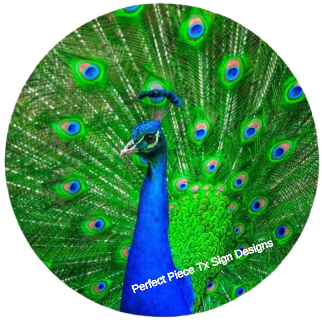 Peacock Teal and Green Wreath Sign, Peacock Wreath Signs, Peacock Signs ...