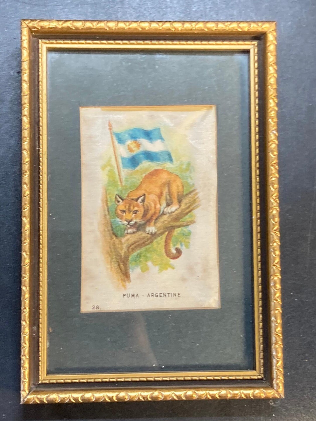 Antique Silk Miniature Cigarette Card ,puma ,argentine ,with Flag ...