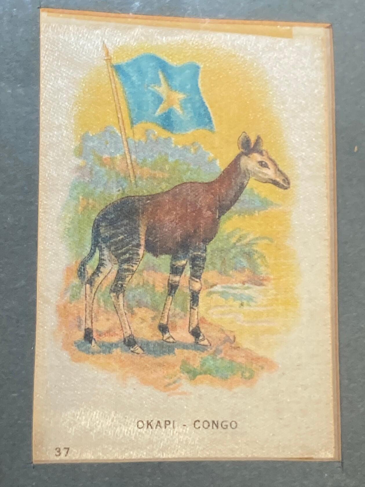 Antique Silk Miniature Cigarette Card With Okapi Congo and Flag ...