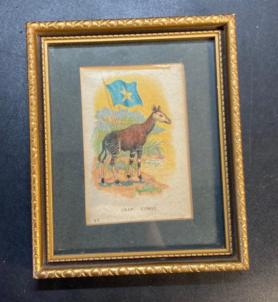 Antique Silk Miniature Cigarette Card With Okapi Congo and - Etsy