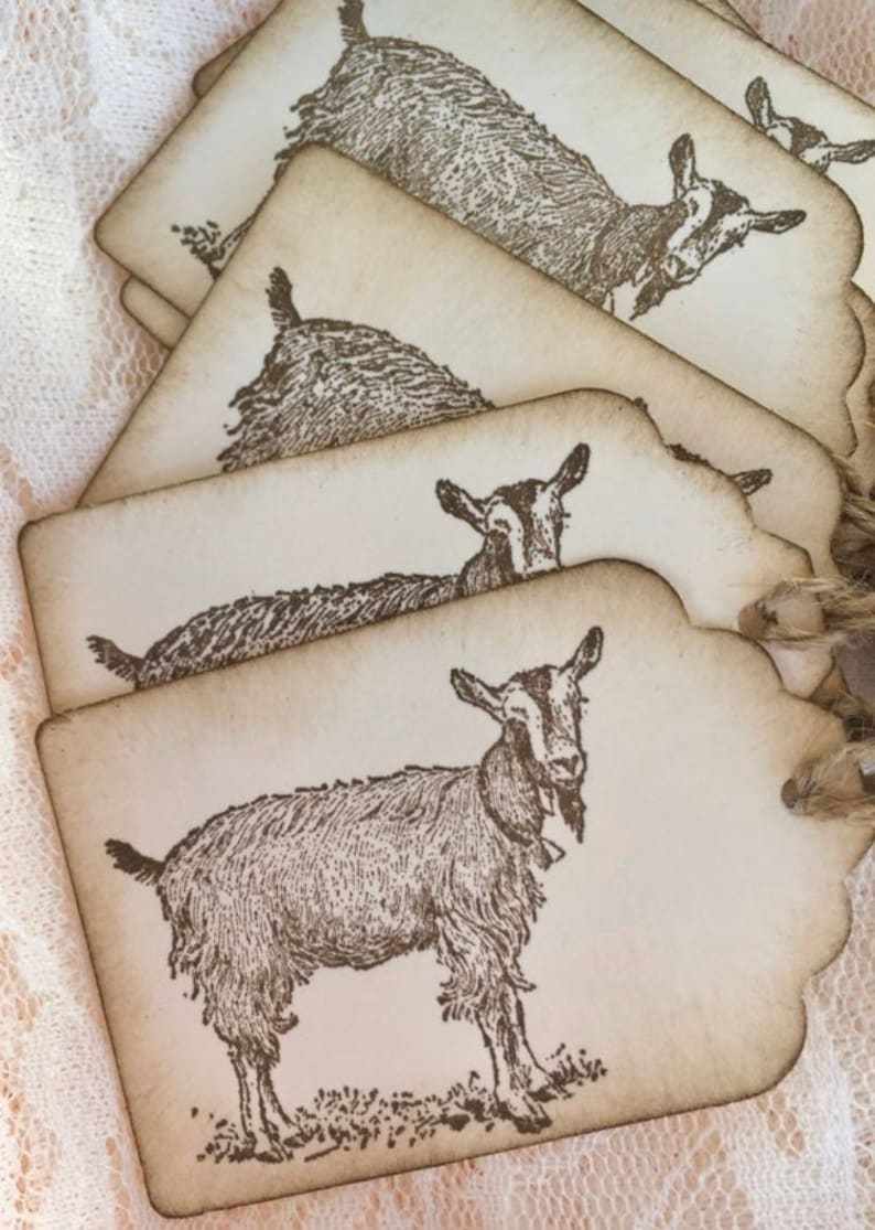 Goat Hang Tags 8 Goat Tags Nanny Billie Goats Tag Old Fashioned Rustic ...