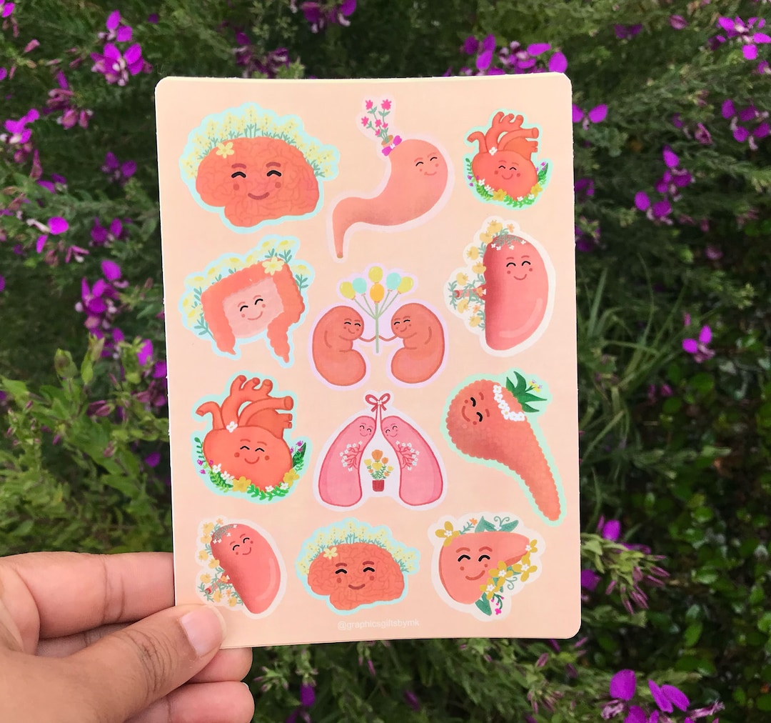 Cute Body Organ Stickers Sheets Glossy Stickers Scrapbook Stickers Card ...
