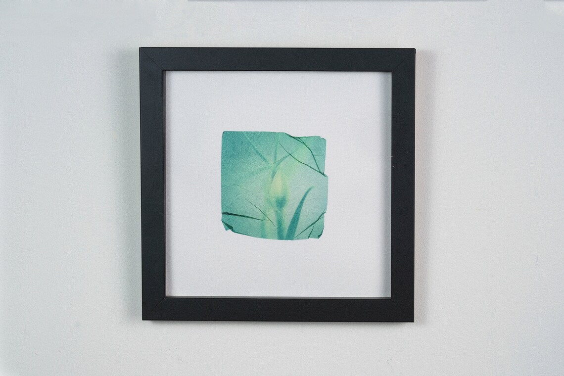 Polaroid Emulsion Art, Studio Apartment Decor, Alien Concept Art ...
