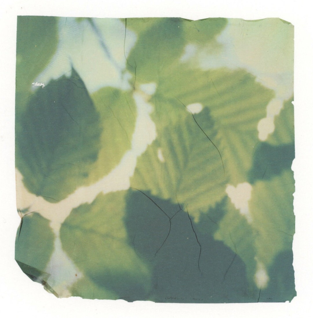 Polaroid Art Wooden Polaroid Frame Bilderrahmen Instax - Etsy