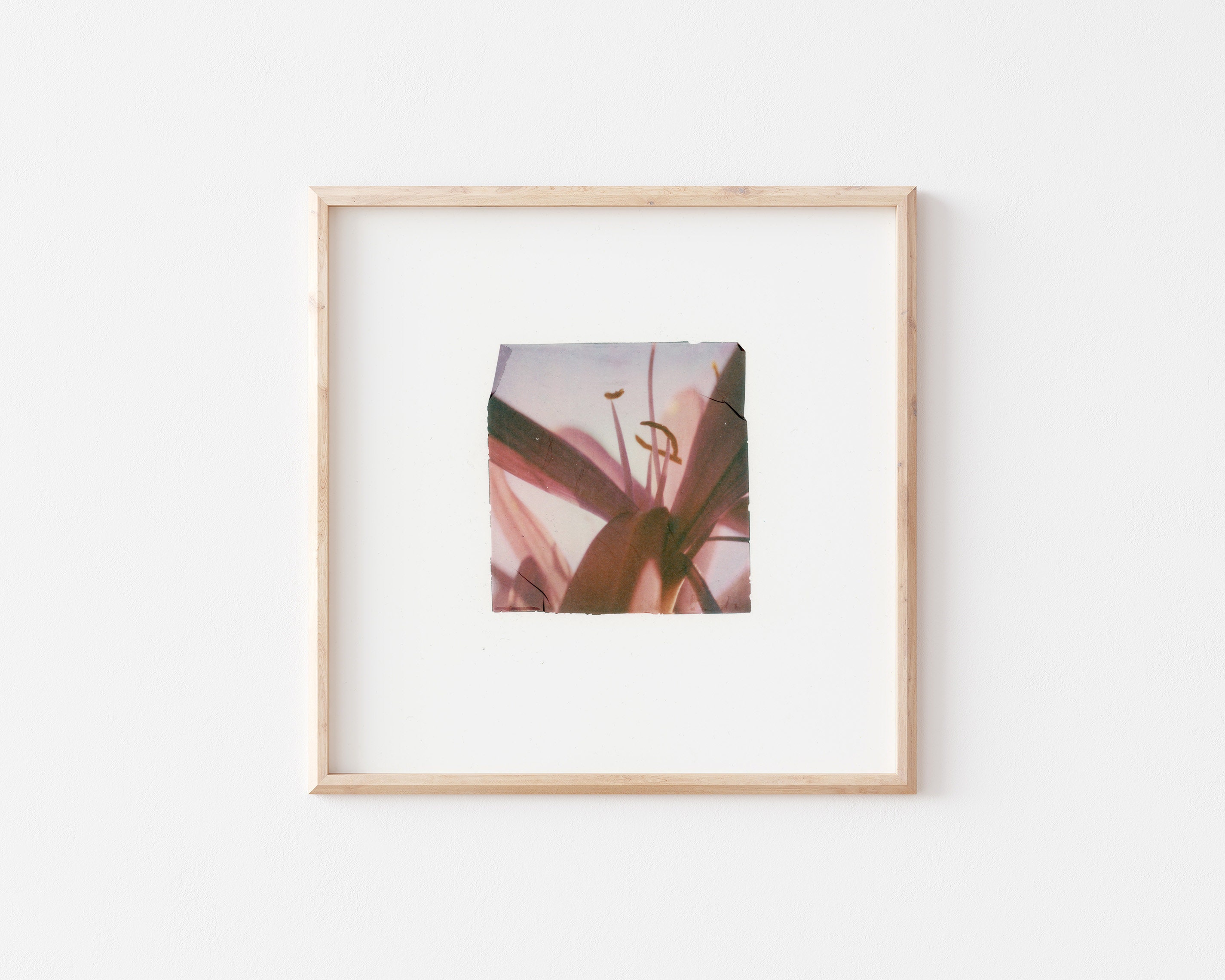 Polaroid Camera Film, Biophilic Design, Watercolour Texture Paper ...