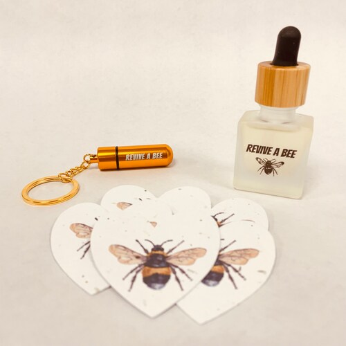 Mason Bee Hatching Box the Baby-bee Nursery Nontoxic | Etsy