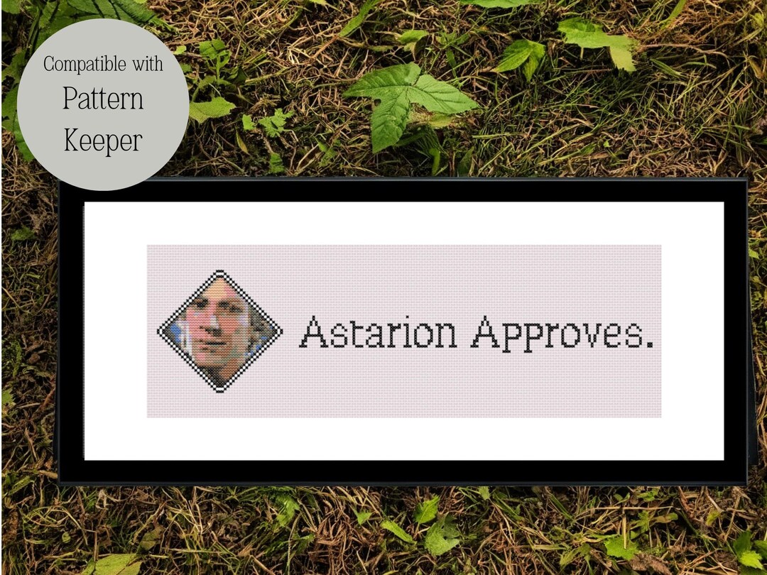 Baldurs Gate 3 astarion Approves Cross Stitch Pattern - Etsy