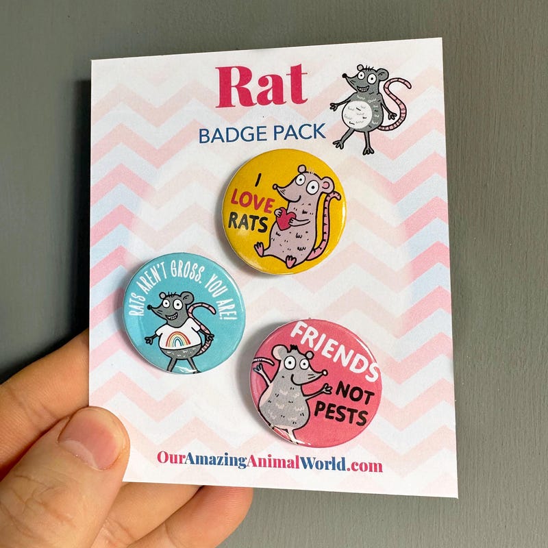 Button Badge Rat - Etsy UK