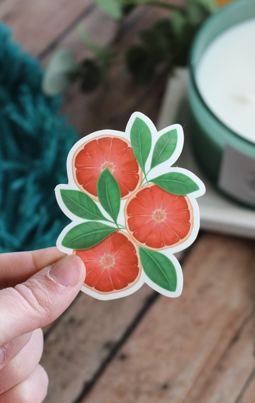 Ruby Red Grapefruit Sticker, Texas, Laptop Decal, Fruit Sticker, Vinyl ...