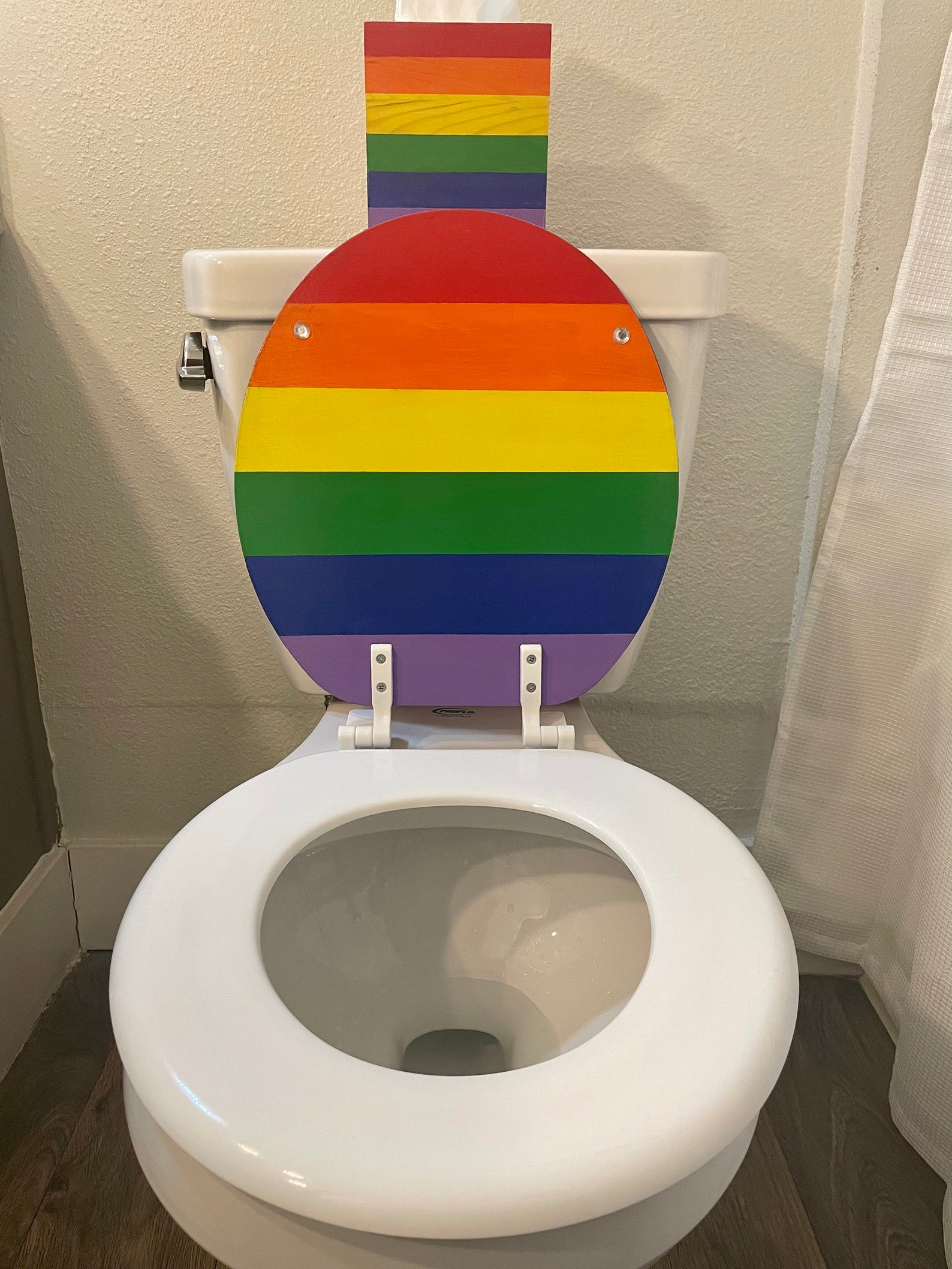 Rainbow Hand Painted Toilet Seat Toilet Seat Cover Bling | Etsy