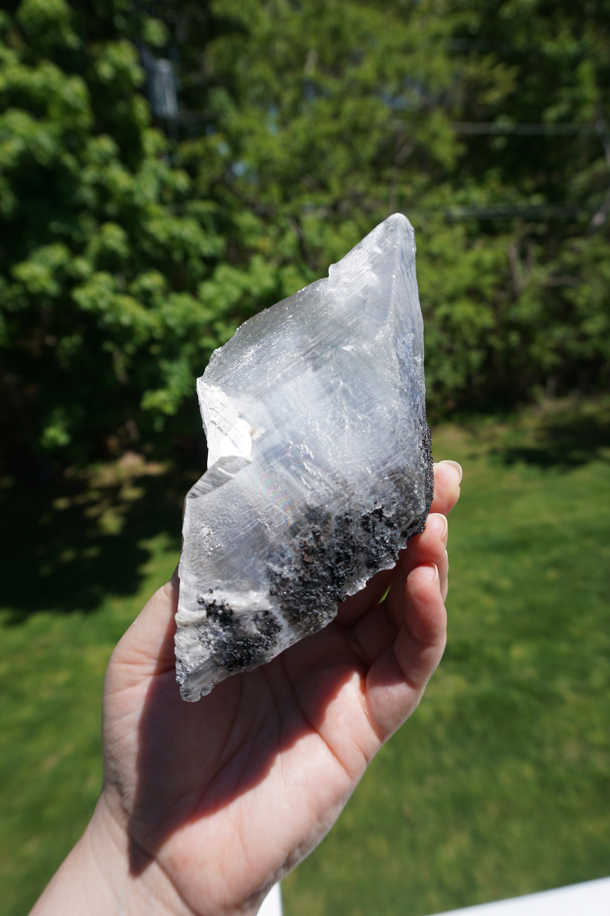 RARE Naica Selenite Naica Selenite Clusters Naica Mine - Etsy