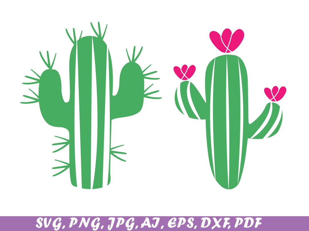 Cactus SVG, Cactus PNG, Cactus SVG bundle, Suculento Svg Cutfiles ...