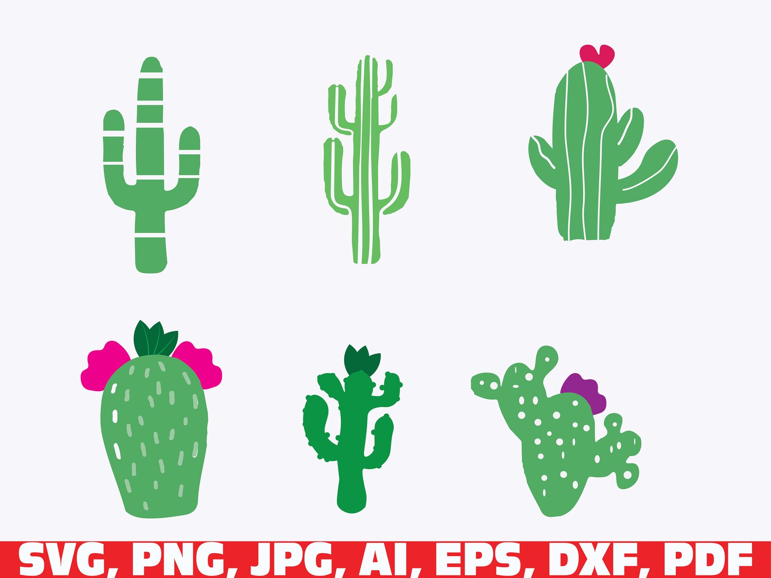 Cactus SVG Cactus PNG Cactus SVG Bundle Succulent Svg - Etsy