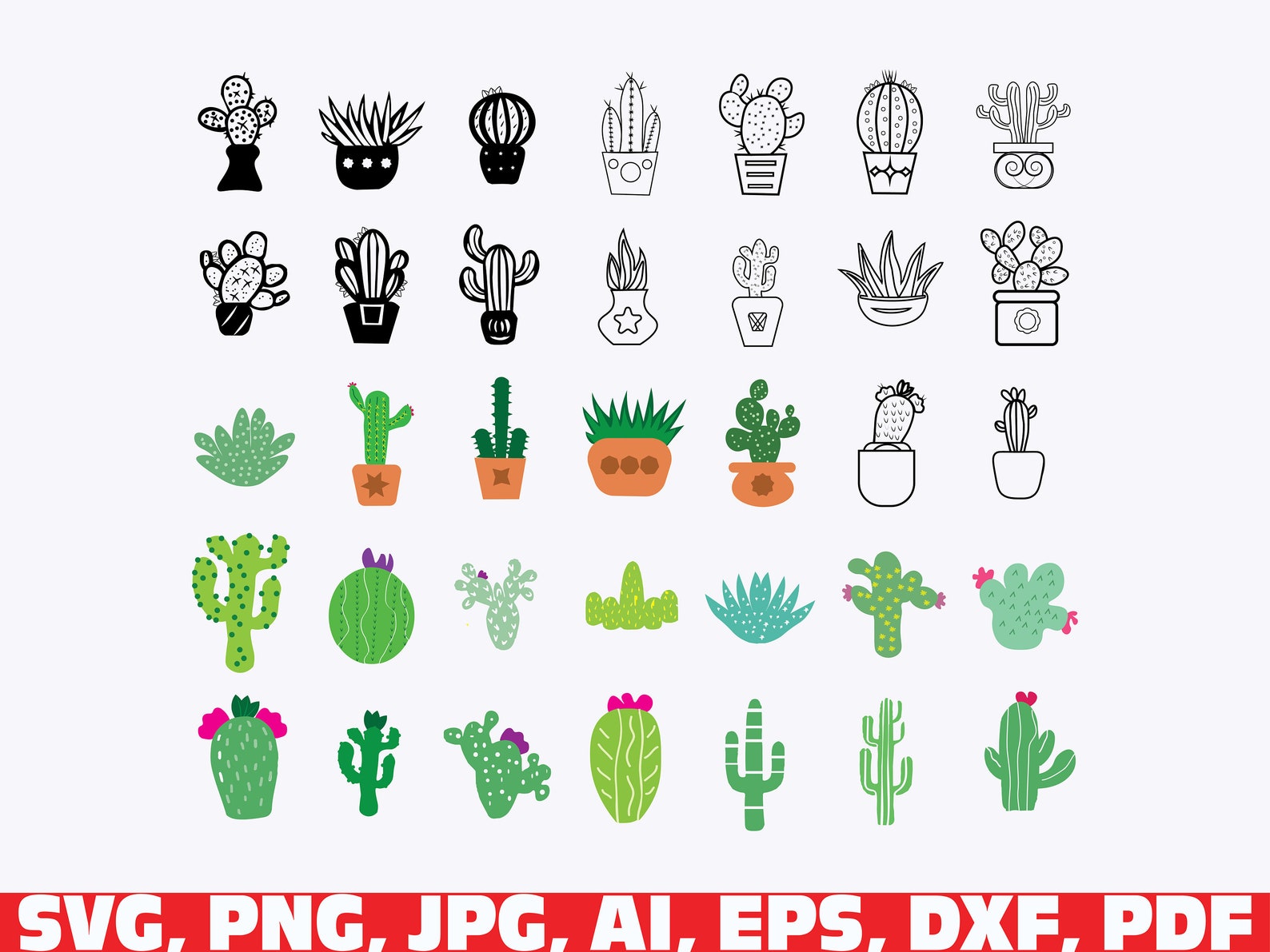 Cactus SVG Cactus PNG Cactus SVG Bundle Succulent Svg - Etsy
