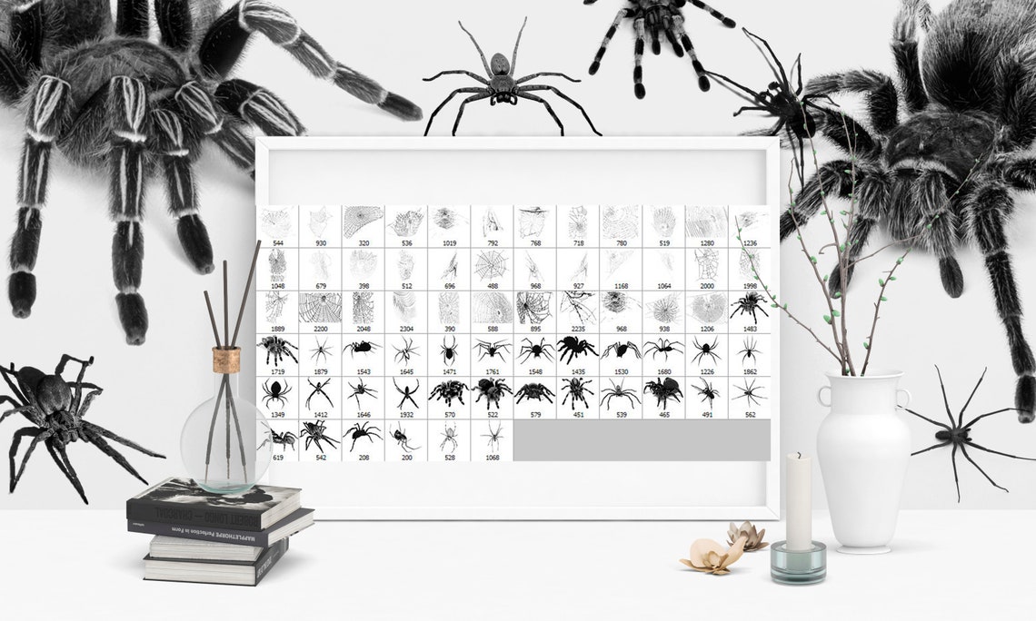 Cobweb ABR Spider Web Brushes Spiders Photoshop Brushes - Etsy