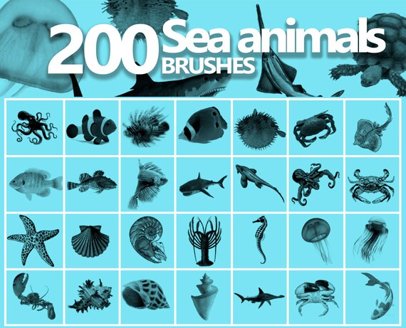 Sea Animals Brushes Fish ABR Sea Shells Photoshop Brushes - Etsy