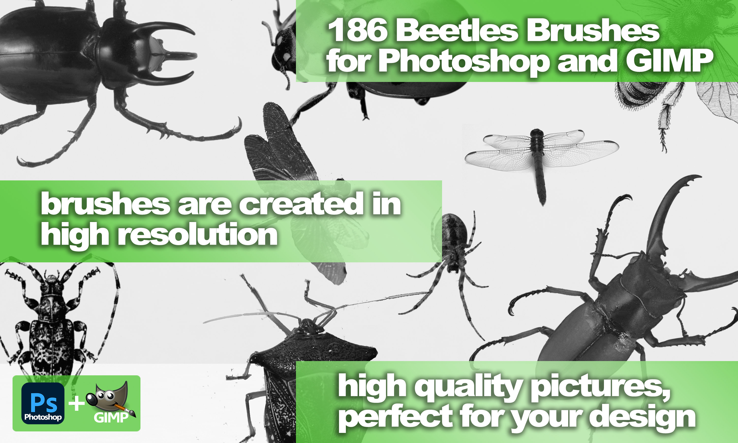 Beetles Brushes, Insects ABR, Animals Photoshop Brushes, Butterflies ...