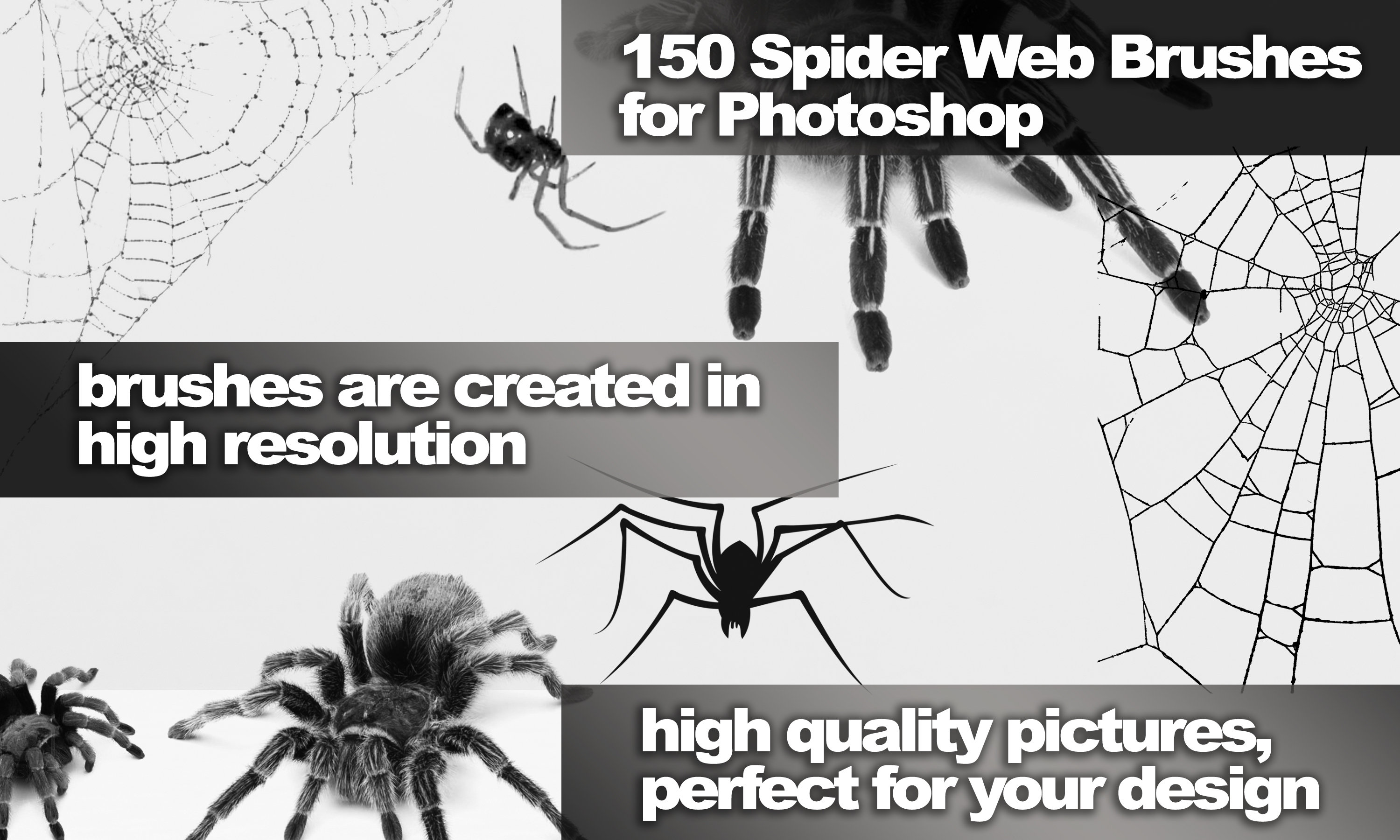 Cobweb ABR, Spider Web Brushes, Spiders Photoshop Brushes, Halloween ...