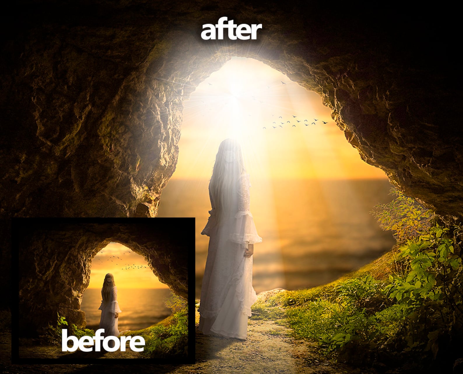 Sunshine Brushes Sunbeam ABR Photoshop Brushes Sunlight | Etsy