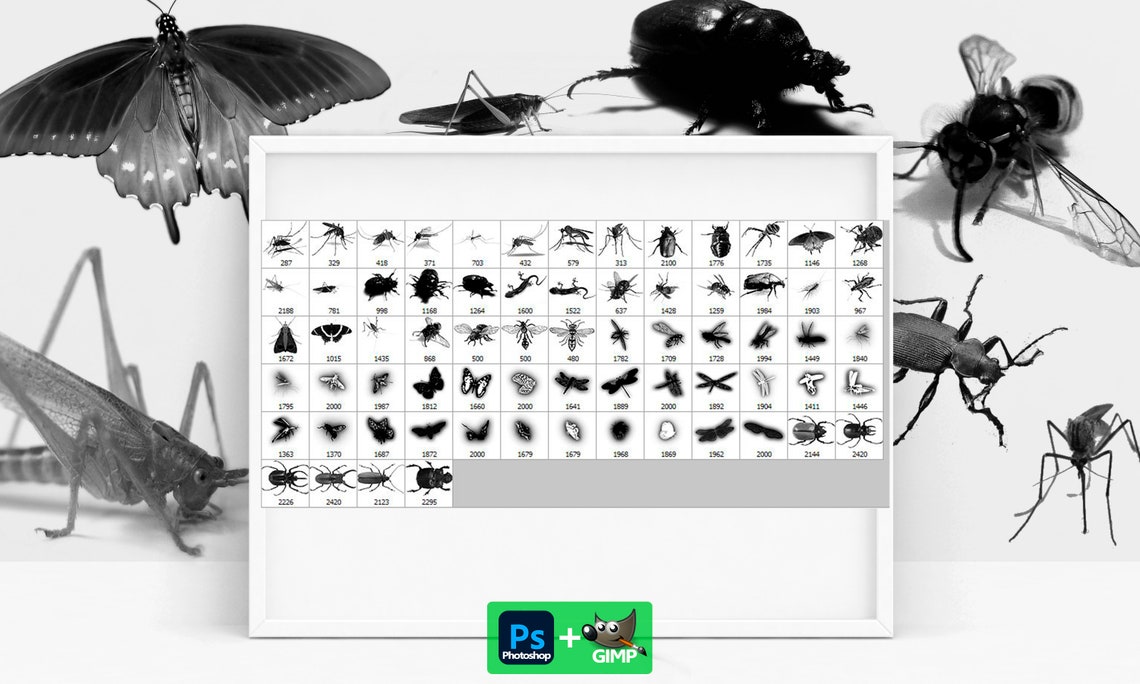 Beetles Brushes, Insects ABR, Animals Photoshop Brushes, Butterflies ...