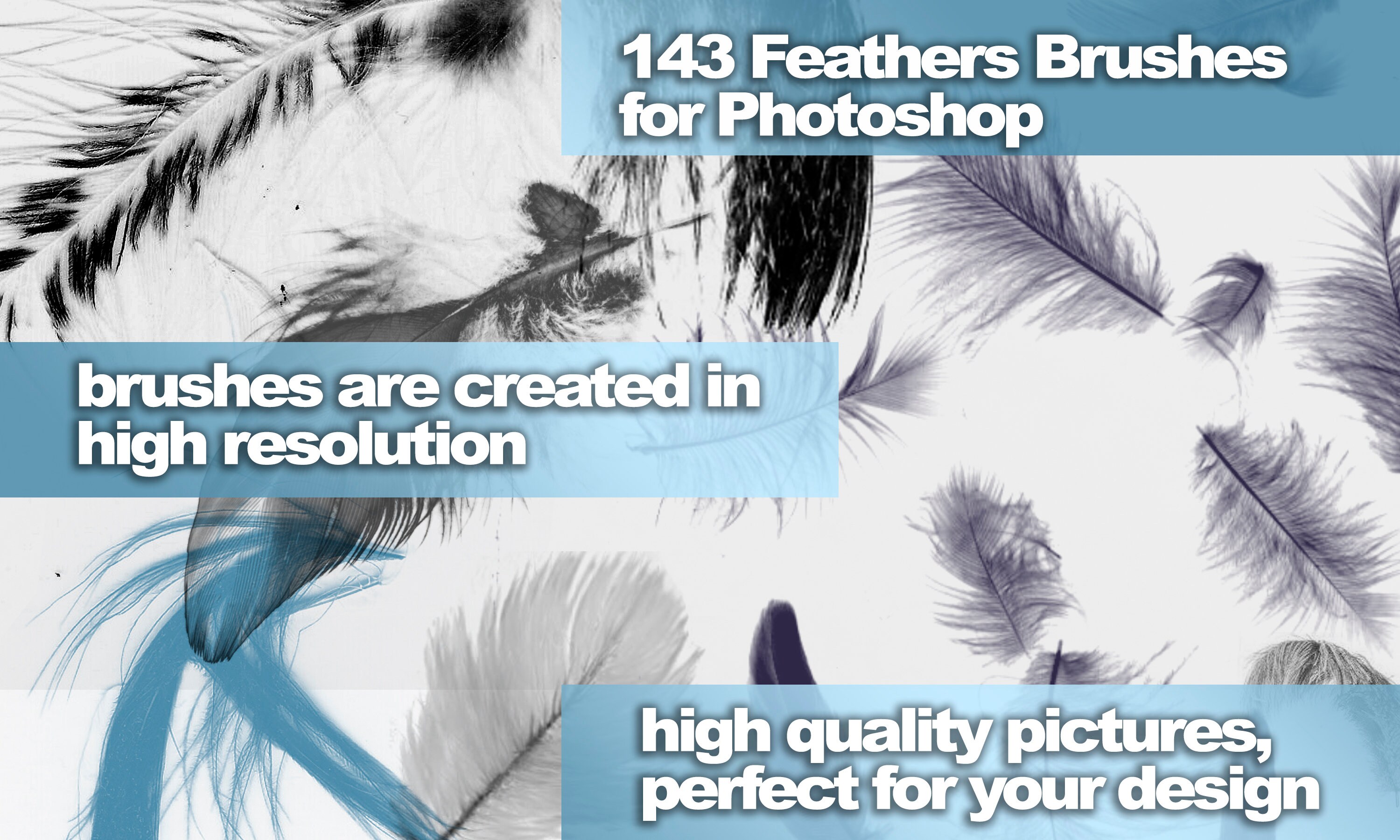 Feathers Photoshop Brushes, Plumage, Bird Feathers Overlays, Fluff ...