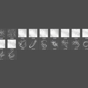 Water Brushes Realistic Splashes, Drops ABR for Photoshop, GIMP ...