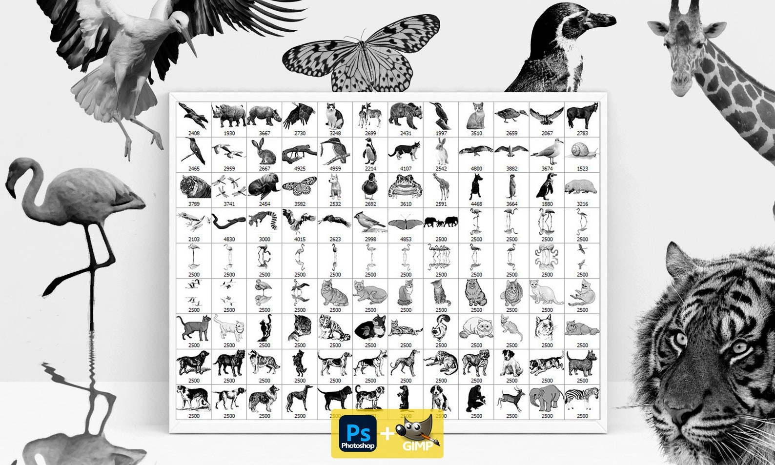 Animals Brushes Digital Rabbit Animals ABR Photoshop Wild - Etsy