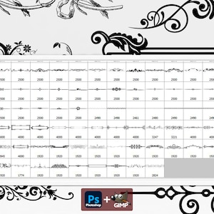 Dividers Brushes – Decorative Borders, Baroque & Calligraphy ABR for ...