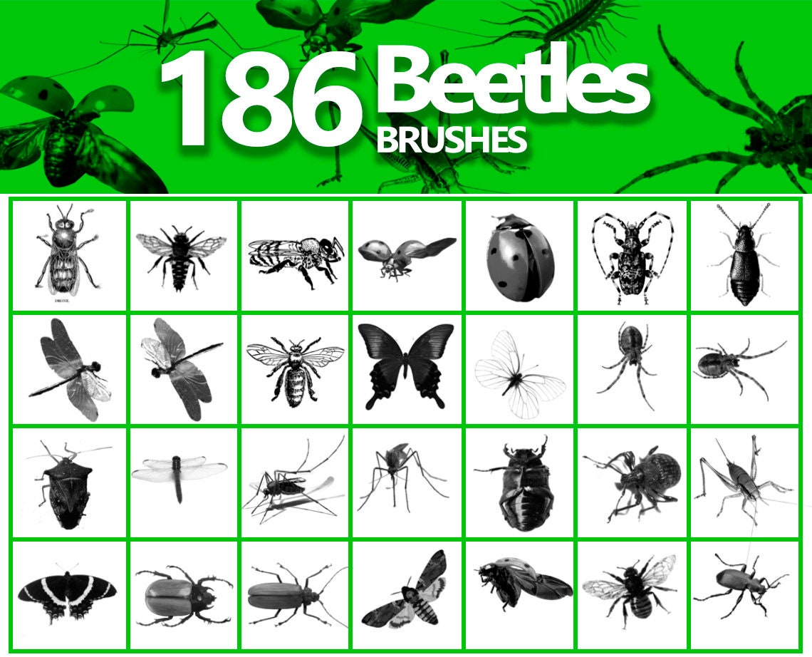 Beetles Brushes, Insects ABR, Animals Photoshop Brushes, Butterflies ...
