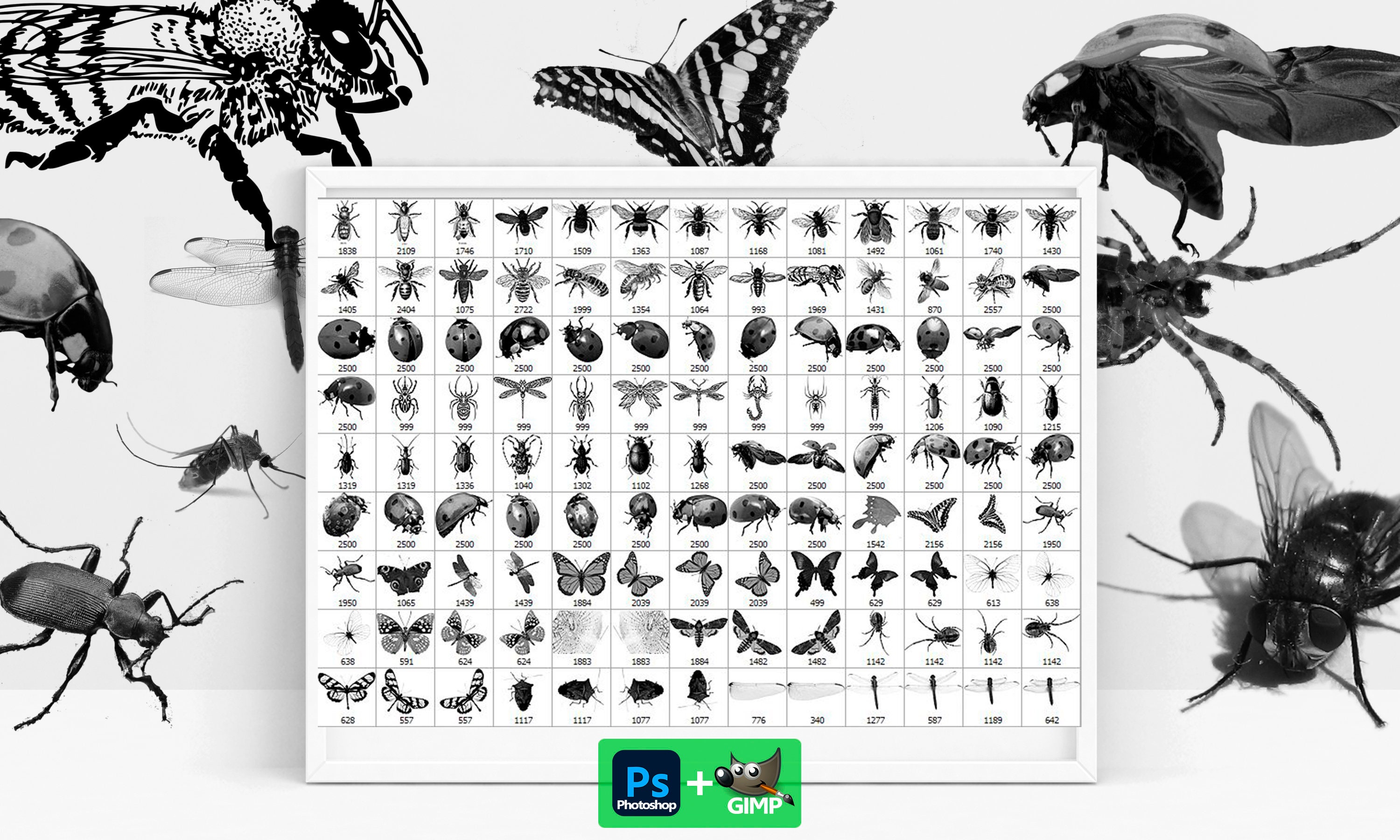 Beetles Brushes, Insects ABR, Animals Photoshop Brushes, Butterflies ...