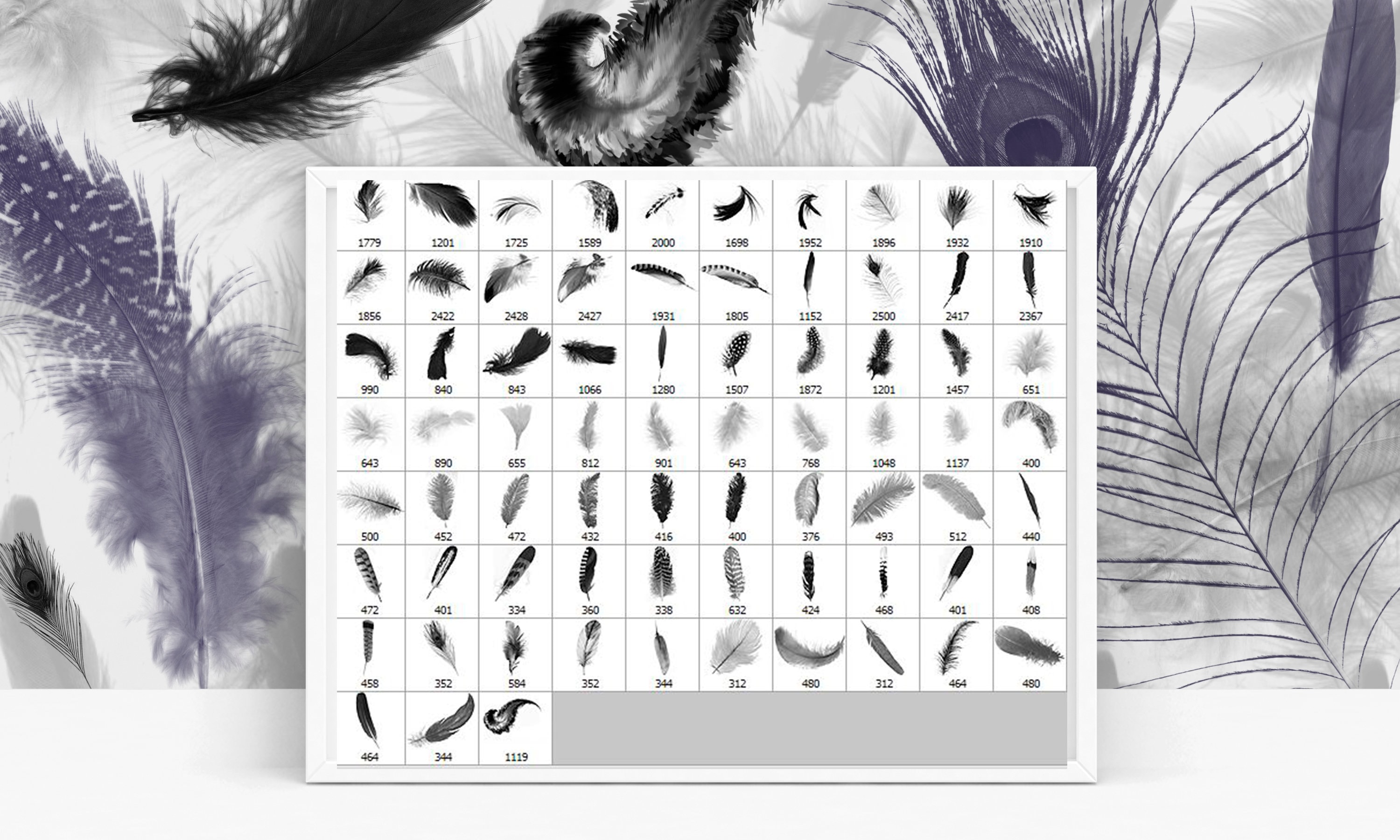 Feathers Photoshop Brushes, Plumage, Bird Feathers Overlays, Fluff ...