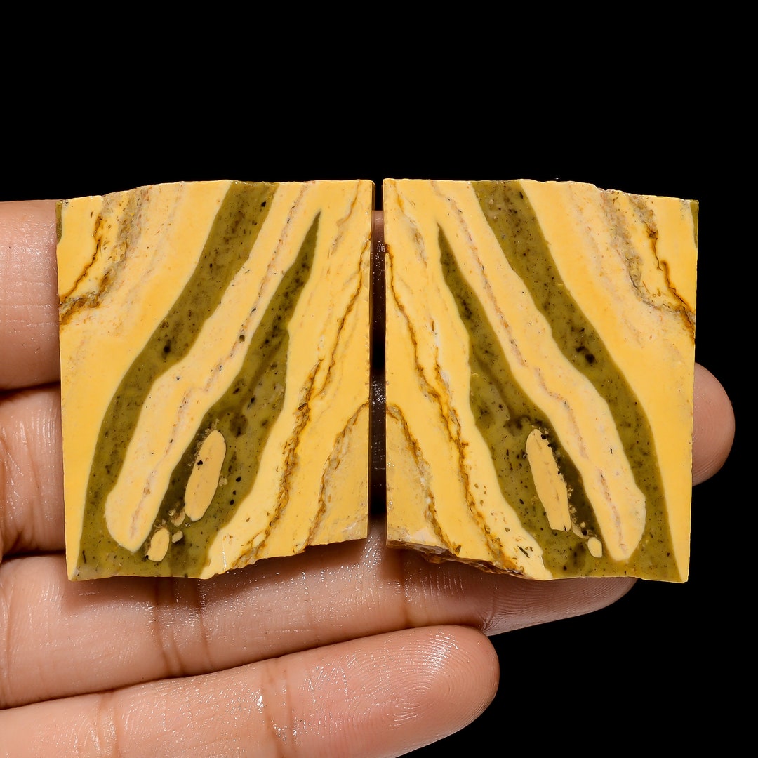 Russian Dendrite Opal Slice Loose Gemstone Pair for Making Earrings 145 ...