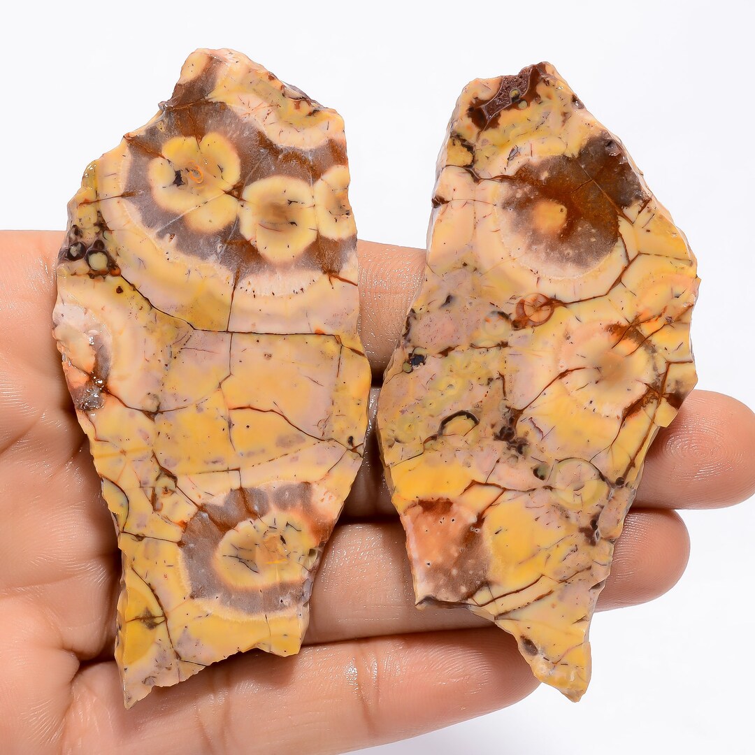 Birds Eye Jasper Gemstone Slice Loose Gemstone 2 Pcs for Making Jewelry ...
